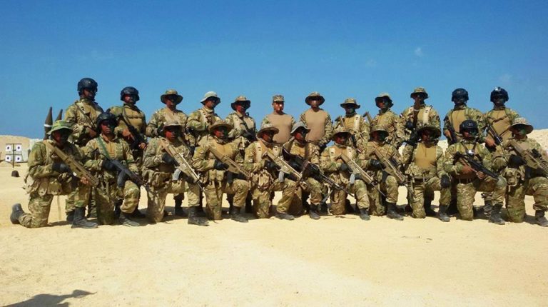 VEICULOS E ARMAMENTOS MILITARES: ARX 160 e variantes